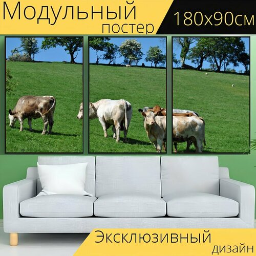 Модульный постер "Коровы, бычий, животные" 180 x 90 см. для интерьера
