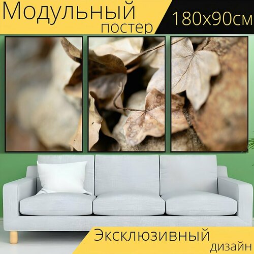 Модульный постер "Листья, плющ, сухие листья" 180 x 90 см. для интерьера