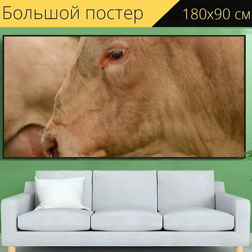 Большой постер "Говядина, крупный рогатый скот, сельское хозяйство" 180 x 90 см. для интерьера