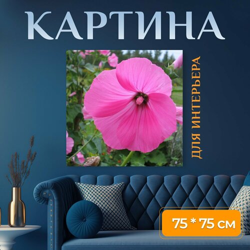 Картина на холсте "Лето, цветок, розовый" на подрамнике 75х75 см. для интерьера