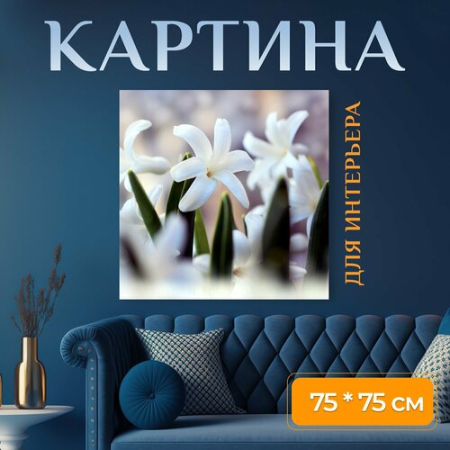 Картина на холсте "Гиацинт, цветы, завод" на подрамнике 75х75 см. для интерьера