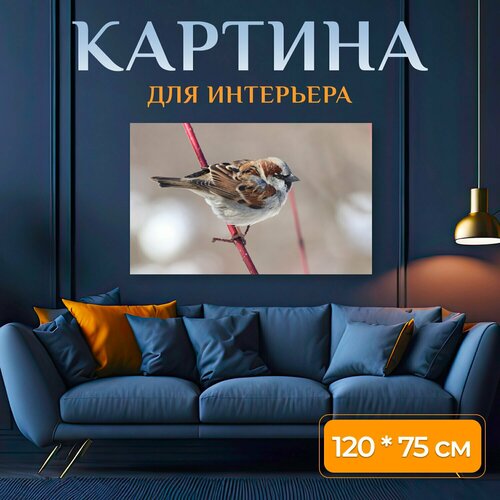 Картина на холсте "Птица, природа, живая природа" на подрамнике 120х75 см. для интерьера