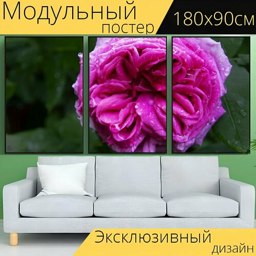 Модульный постер "Розовый, сад, розы" 180 x 90 см. для интерьера