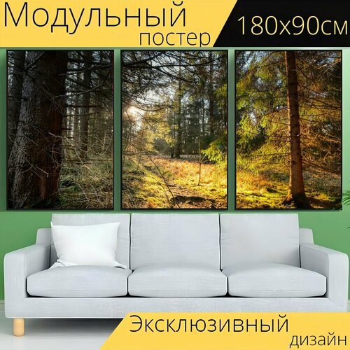 Модульный постер "Дорожка, поляна, лес" 180 x 90 см. для интерьера
