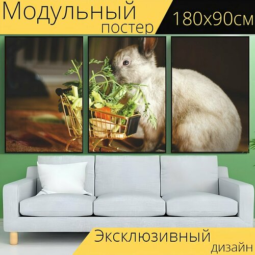 Модульный постер "Карликовый кролик, цвет карлика, торговое предприятие" 180 x 90 см. для интерьера
