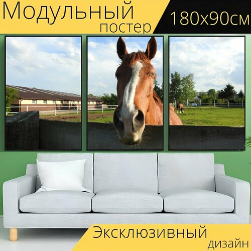 Модульный постер "Ферма, лошадь, лужайка" 180 x 90 см. для интерьера