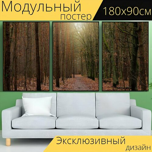 Модульный постер "Лес, дорожка, лесная тропа" 180 x 90 см. для интерьера