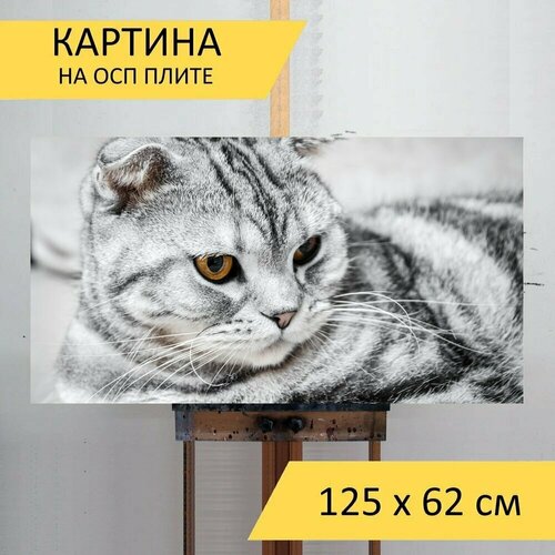 Картина на ОСП 125х62 см. "Кошка, котенок, животное" горизонтальная, для интерьера, с креплениями