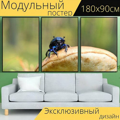 Модульный постер "Лесной жук, жук, гриб" 180 x 90 см. для интерьера