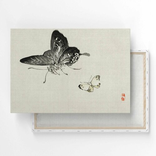 Картина на холсте, репродукция / Байрэй, Коно - Butterflies / Размер 30 x 40 см