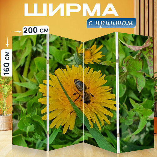 Ширма перегородка с принтом "Одуванчик, цветок, пчела" на холсте - 200x160 см. для зонирования, раскладная
