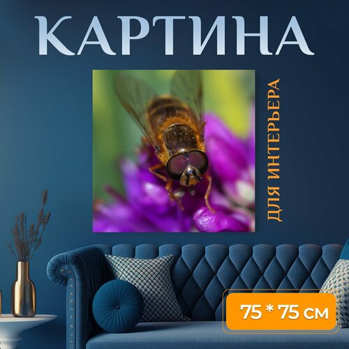 Картина на холсте "Журчалки, насекомое, цветок" на подрамнике 75х75 см. для интерьера
