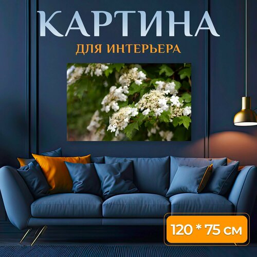 Картина на холсте "Калина, цветет, цветение" на подрамнике 120х75 см. для интерьера