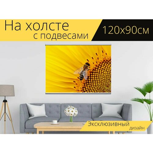 Картина на холсте "Подсолнечник, пчела, макрос" с подвесами 120х90 см. для интерьера