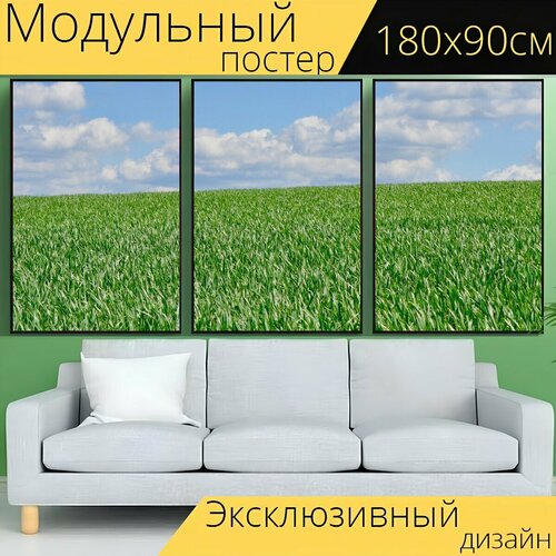 Модульный постер "Зерновое поле, небеса, облака" 180 x 90 см. для интерьера
