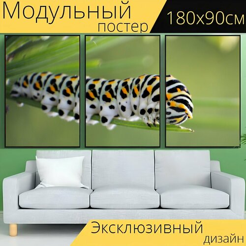 Модульный постер "Гусеница, бабочка, цвета" 180 x 90 см. для интерьера