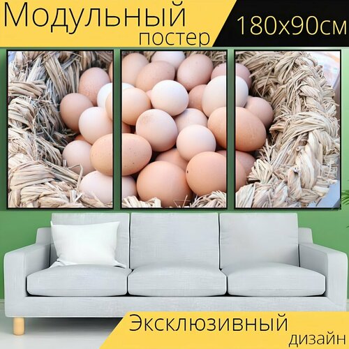 Модульный постер "Яйцо, корзина яйцо, питание" 180 x 90 см. для интерьера