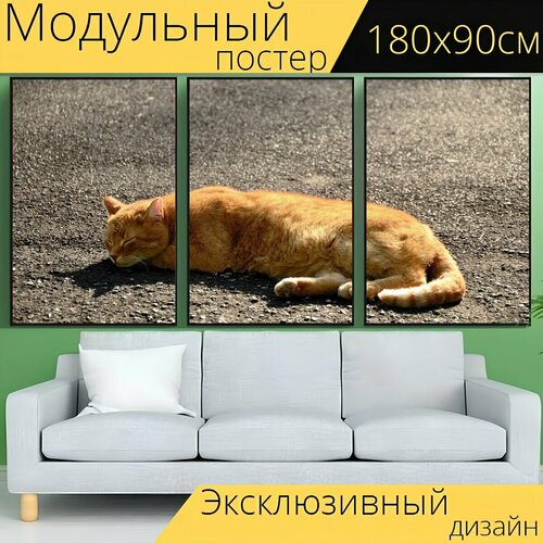 Модульный постер "Кот, спать, домашнее животное" 180 x 90 см. для интерьера