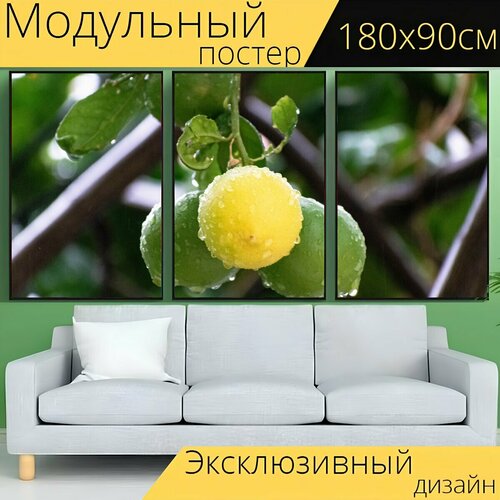Модульный постер "Лимон, дожди, завод" 180 x 90 см. для интерьера