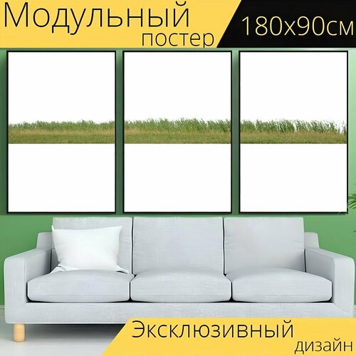 Модульный постер "Трава, трава без фона, природа" 180 x 90 см. для интерьера