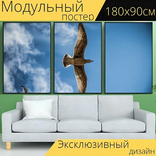 Модульный постер "Чайки, полет, птицы" 180 x 90 см. для интерьера