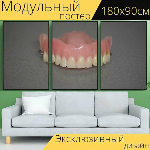 Модульный постер "Зубы, зуб, стоматологический" 180 x 90 см. для интерьера
