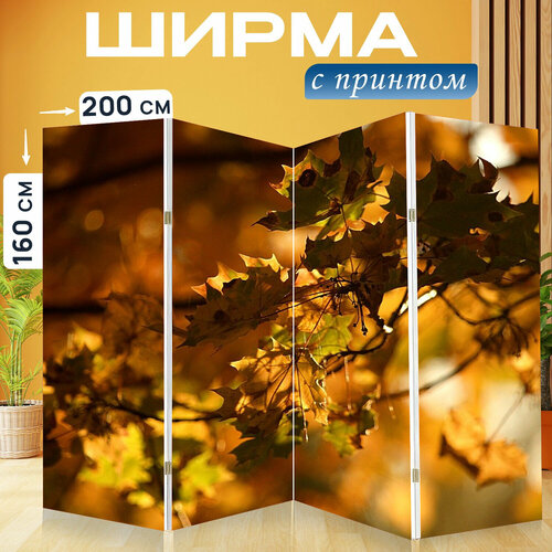 Ширма перегородка с принтом "Осень, листья, листва" на холсте - 200x160 см. для зонирования, раскладная