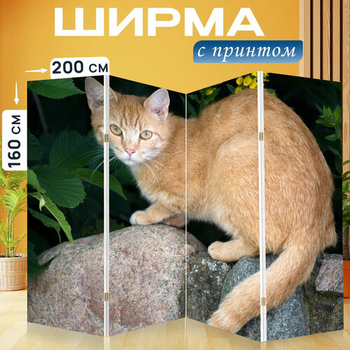 Ширма перегородка с принтом "Кот, животное, природа" на холсте - 200x160 см. для зонирования, раскладная