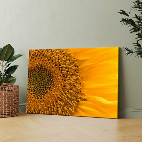Картина на холсте (Подсолнух цветок) 50x70 см. Интерьерная, на стену.