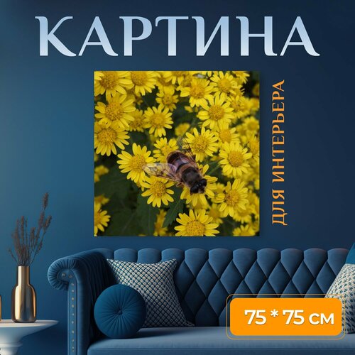 Картина на холсте "Пчела, дикий цветок, ботаника" на подрамнике 75х75 см. для интерьера