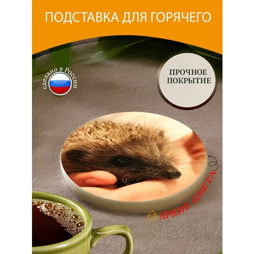 Подставка под горячее "Морской еж, млекопитающие, разведение" 10 см. из блого мрамора