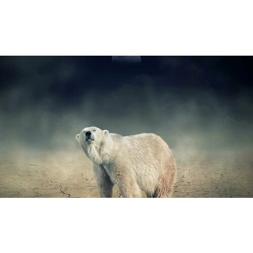 Картина на холсте 60x110 LinxOne "Медведь мишка ночь белый луна" интерьерная для дома / на стену / на кухню / с подрамником