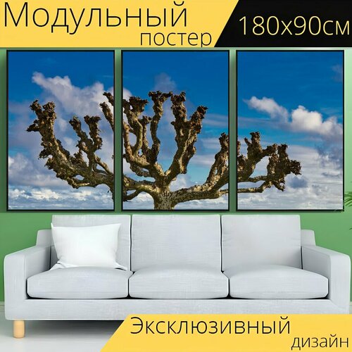 Модульный постер "Пейзаж, природа, дерево" 180 x 90 см. для интерьера