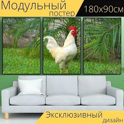 Модульный постер "Петух, курица, сельскохозяйственное животное" 180 x 90 см. для интерьера