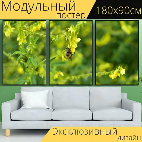 Модульный постер "Пчела, рапс, насекомое" 180 x 90 см. для интерьера