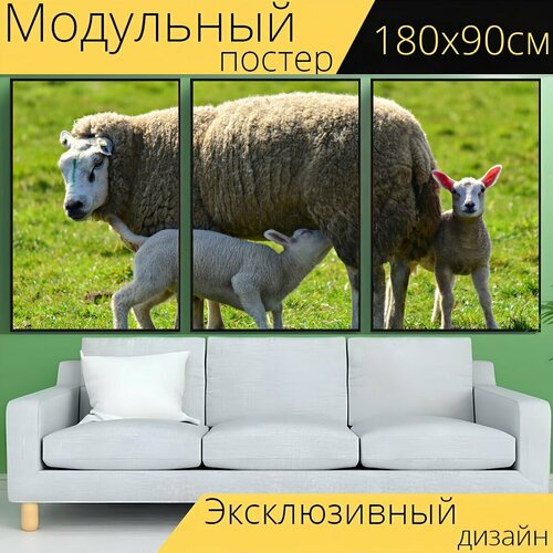 Модульный постер "Овец, овца, ягненок" 180 x 90 см. для интерьера
