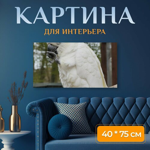 Картина на холсте "Попугай, птица, животное" на подрамнике 75х40 см. для интерьера