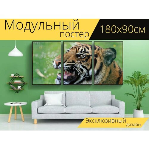 Модульный постер "Тигр, рычал, крупный план" 180 x 90 см. для интерьера