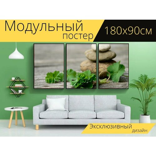 Модульный постер "Травы лекарственные, frauenmantel, лекарственная трава" 180 x 90 см. для интерьера