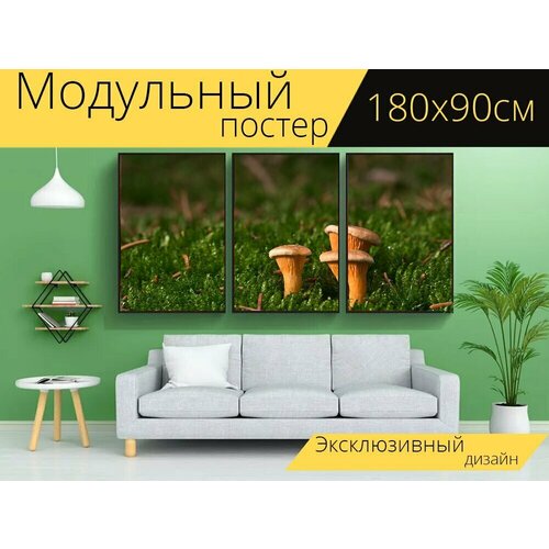 Модульный постер "Грибы, мох, лес" 180 x 90 см. для интерьера