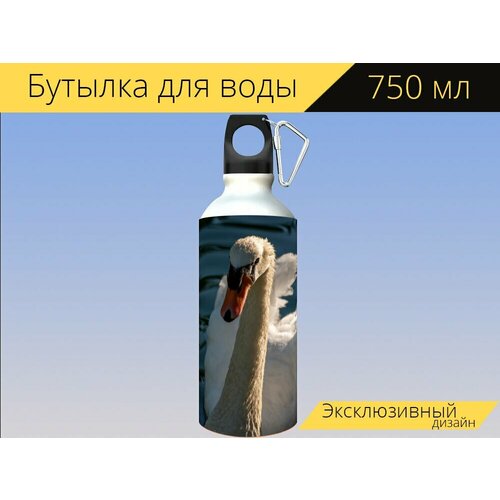 Бутылка фляга для воды "Лебедь, немой лебедь, белый лебедь" 750 мл. с карабином и принтом