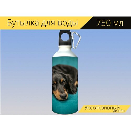 Бутылка фляга для воды "Собака, щенок, диван" 750 мл. с карабином и принтом