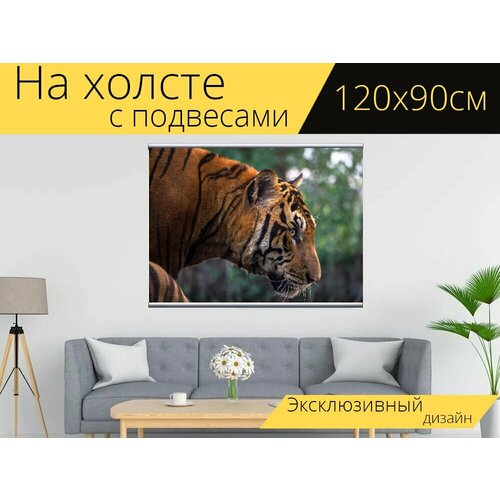 Картина на холсте "Тигр, кошка, кошачий" с подвесами 120х90 см. для интерьера