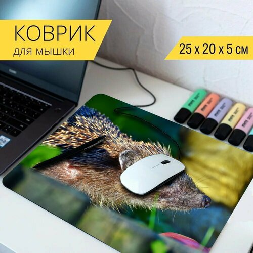 Коврик для мыши с принтом "Ежик, шпора, ханна" 25x20см.