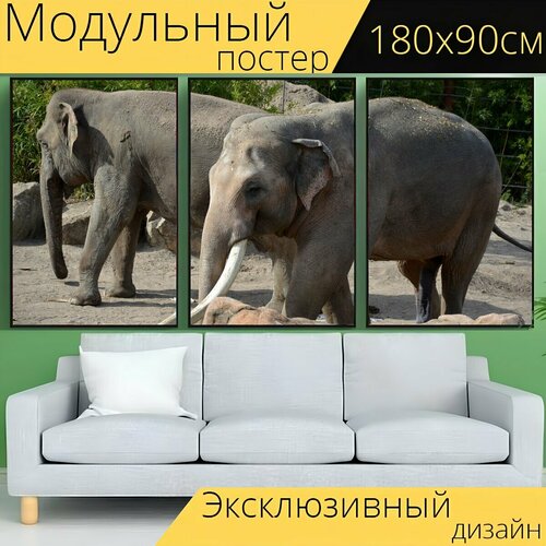 Модульный постер "Слоны, африке, сафари" 180 x 90 см. для интерьера