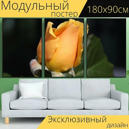 Модульный постер "Роза, цветок, розы" 180 x 90 см. для интерьера