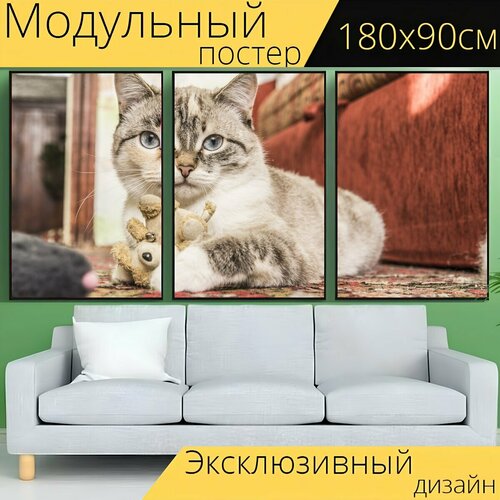 Модульный постер "Животные, кошка, милый" 180 x 90 см. для интерьера