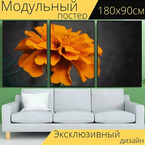 Модульный постер "Цветок, апельсин, сад" 180 x 90 см. для интерьера