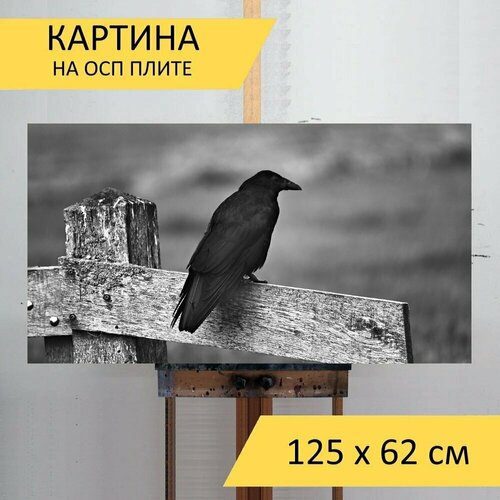 Картина на ОСП 125х62 см. "Черный ворон, птица, врановый вид" горизонтальная, для интерьера, с креплениями
