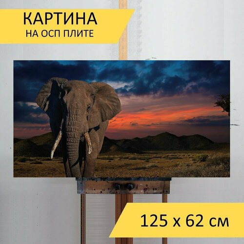 Картина на ОСП 125х62 см. "Слон, африка, дикая природа" горизонтальная, для интерьера, с креплениями